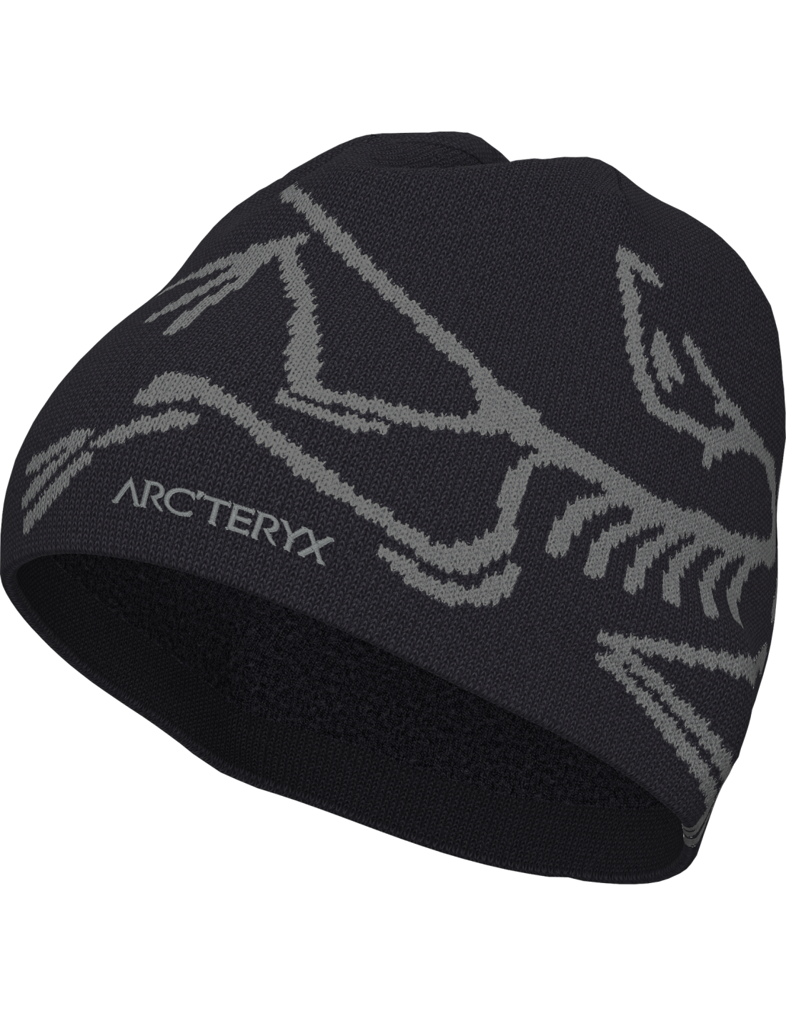 ARC'TERYX Bird Head Toque | Viladomat